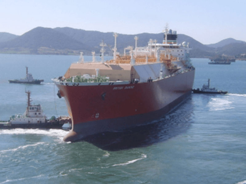 Homepage - Mandarin | Chock Liner